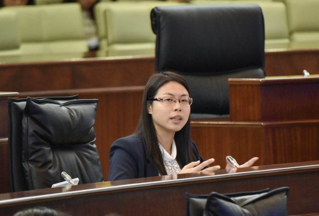 Habitação Social | Ella Lei pede revisão a cálculos de renda – Hoje Macau