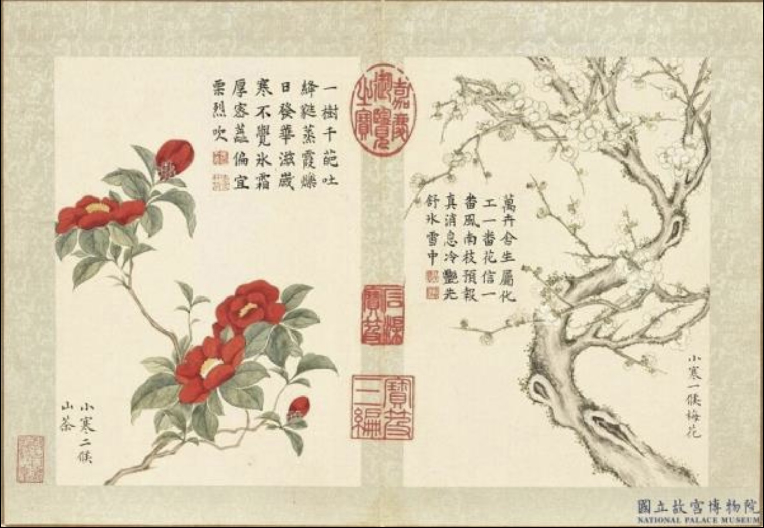 O aniversário das flores no álbum de Dong Gao – Hoje Macau